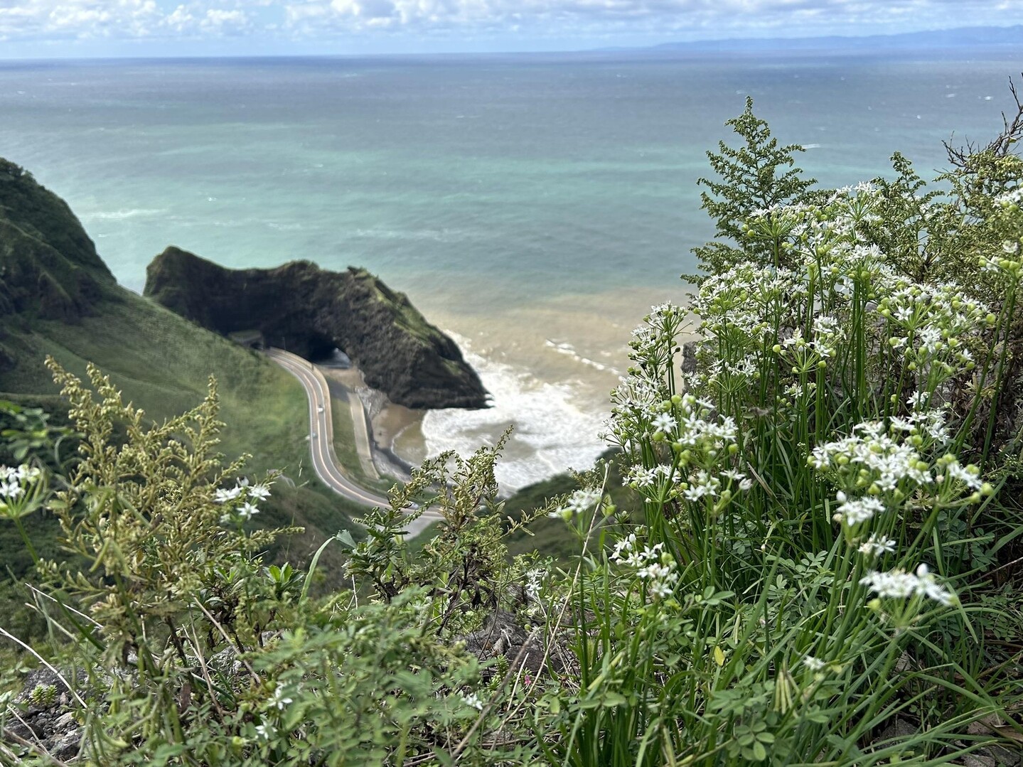 角田山（此入澤〜灯台）周回 9月 / kaizaさんの角田山の活動データ | YAMAP / ヤマップ