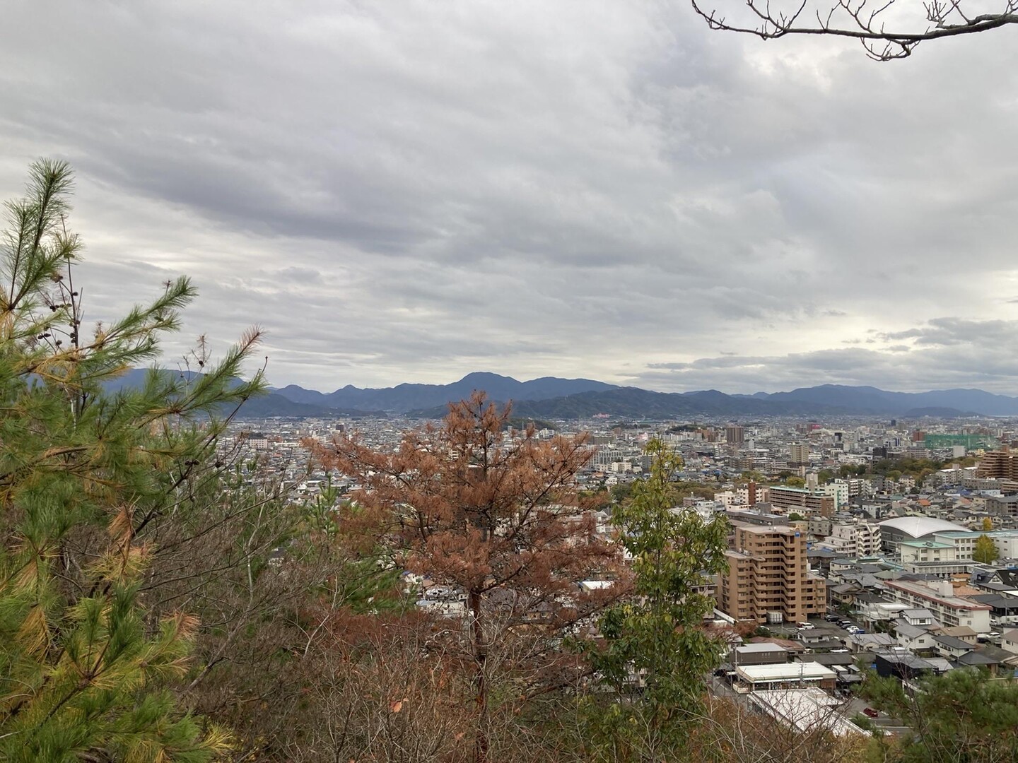 愛宕山・湯築山 / Ypaaさんの四国遍路その15の活動データ | YAMAP / ヤマップ