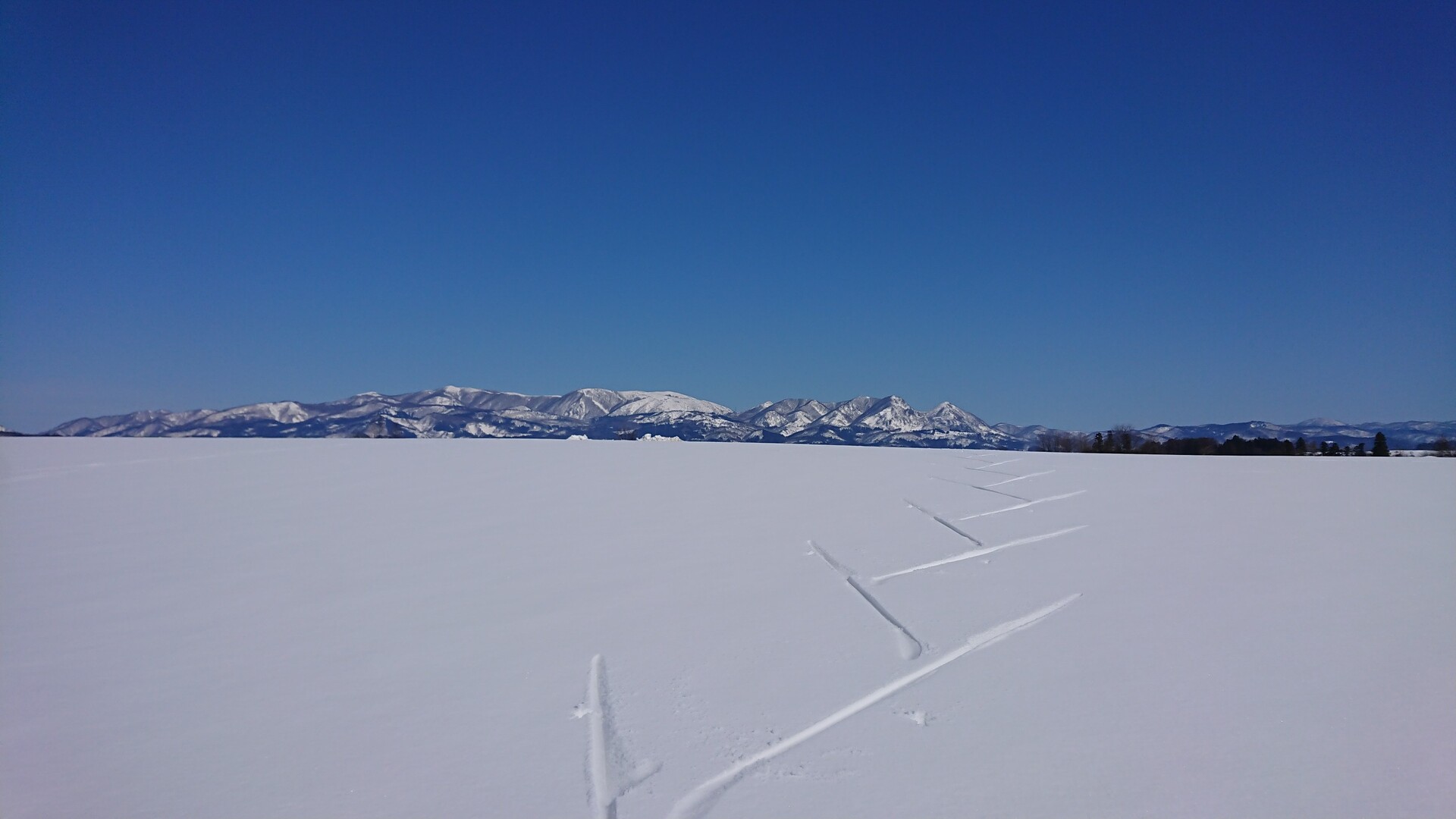 今日の青い空は、クロスカントリースキーで... / Shuuさんのモーメント | YAMAP / ヤマップ