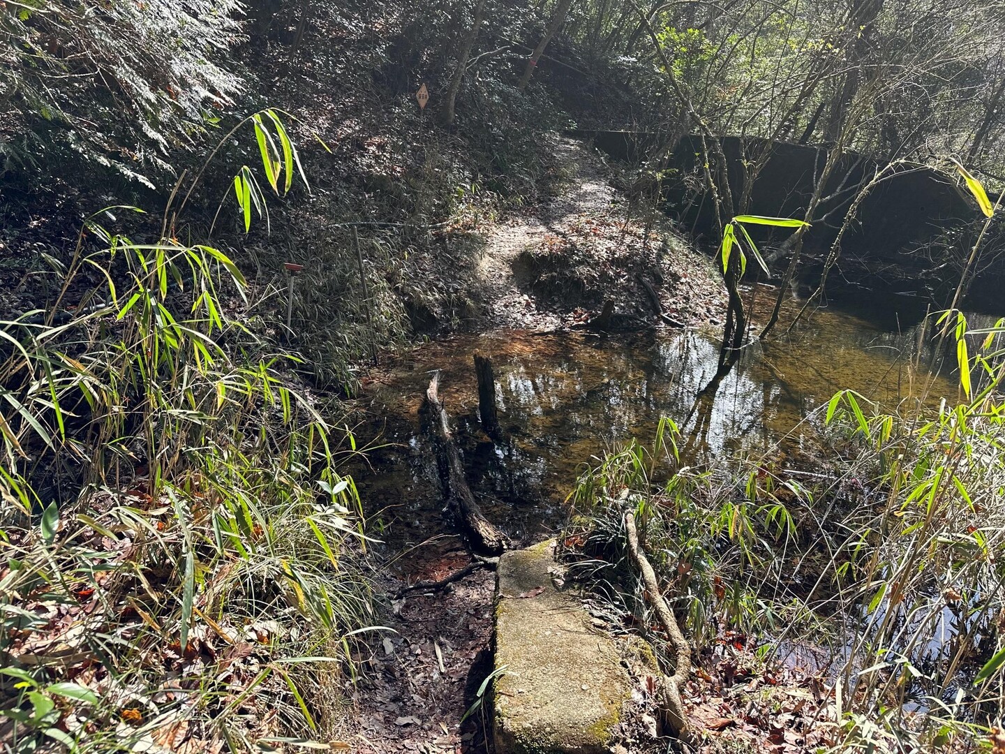 TTさんの投稿したフィールドメモ | YAMAP / ヤマップ