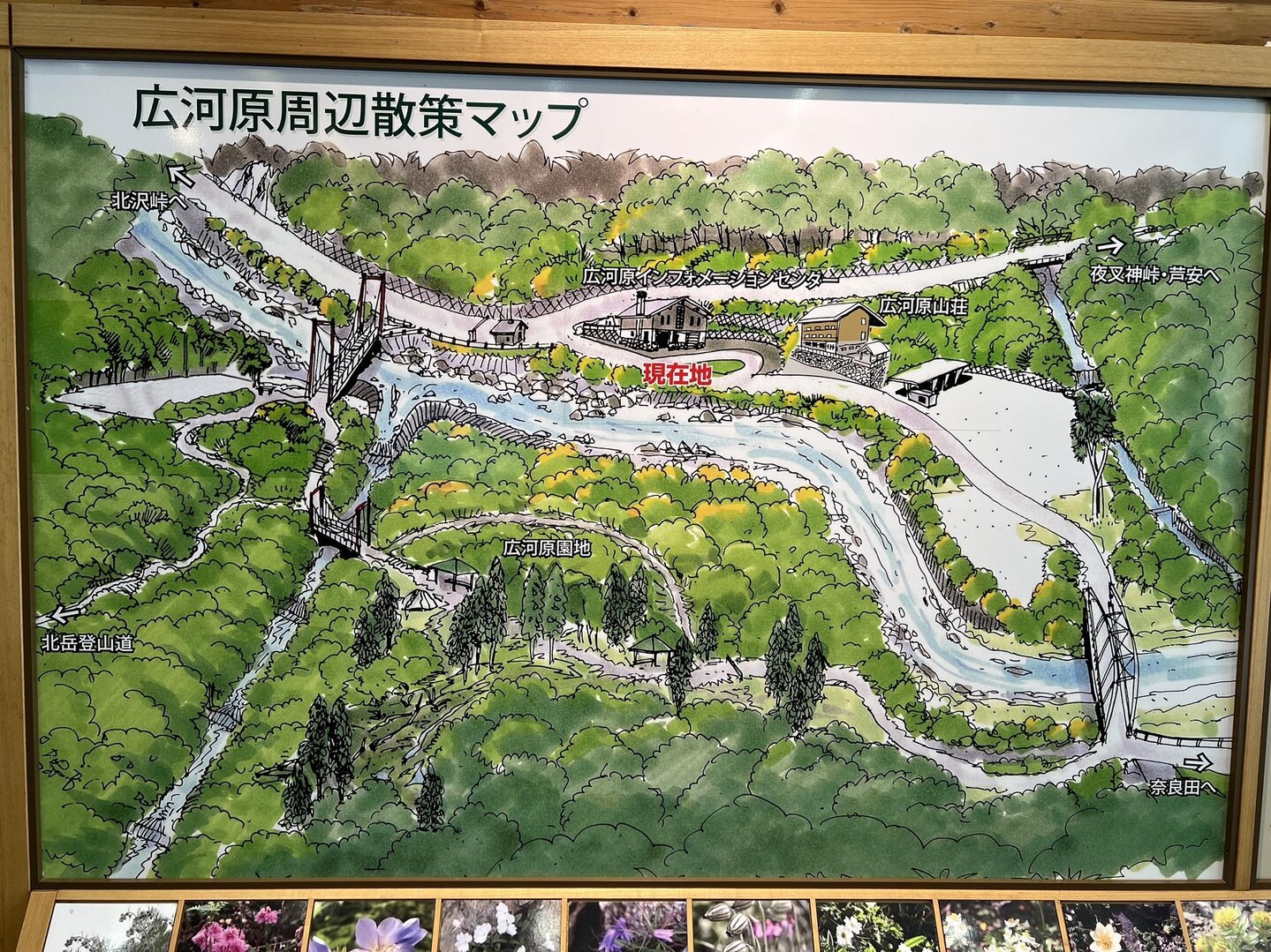 2023/09/03 広河原園地を山歩 ... / Samさんのモーメント | YAMAP / ヤマップ