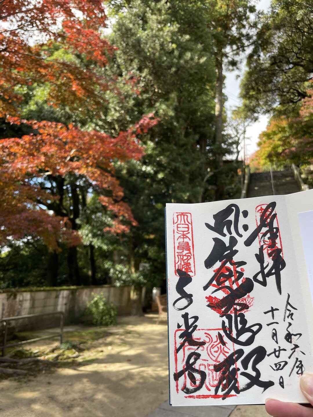 先山 🍁 千光寺 / ☆taemon☆さんの淡路島の活動データ | YAMAP / ヤマップ