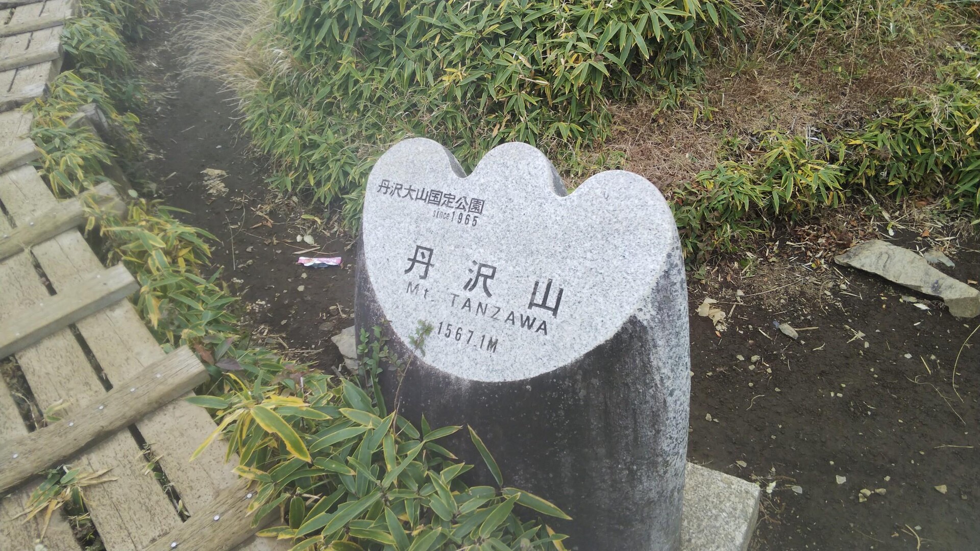 堀山・塔ノ岳・日高・竜ヶ馬場・丹沢山 / mametakaさんの塔ノ岳・丹沢山・蛭ヶ岳の活動データ | YAMAP / ヤマップ