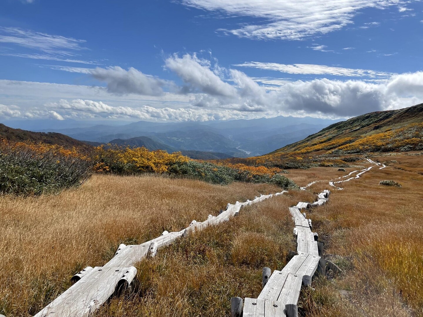 柴灯森・月山・姥ヶ岳 / neroさんの月山の活動データ | YAMAP / ヤマップ