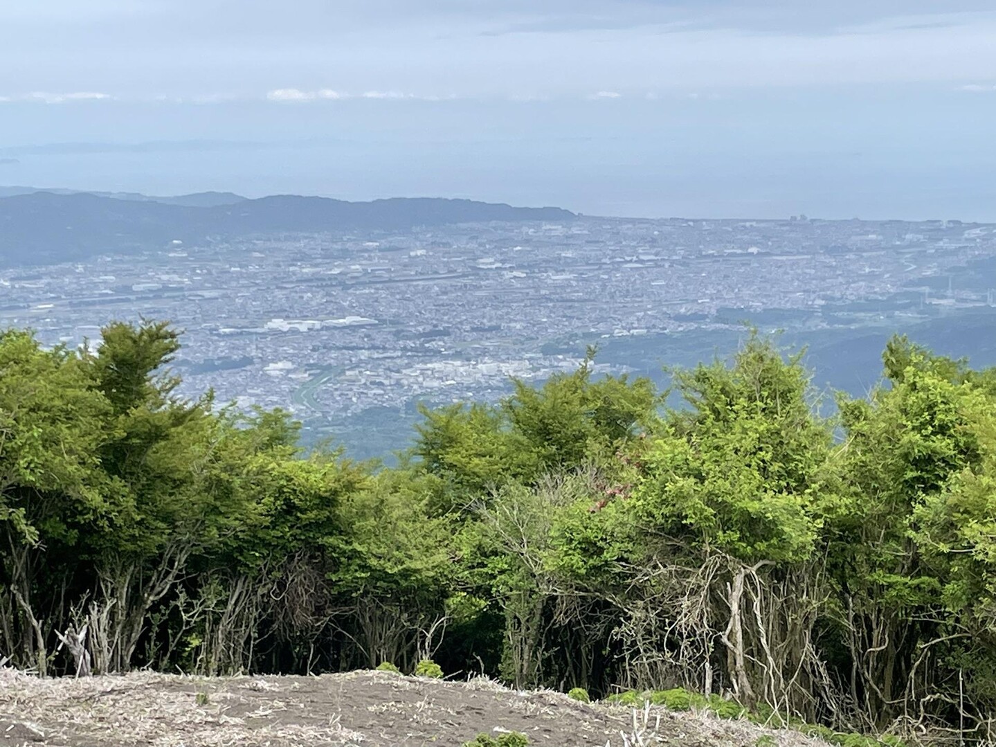 矢倉岳 / CHIEsさんの矢倉岳の活動データ | YAMAP / ヤマップ