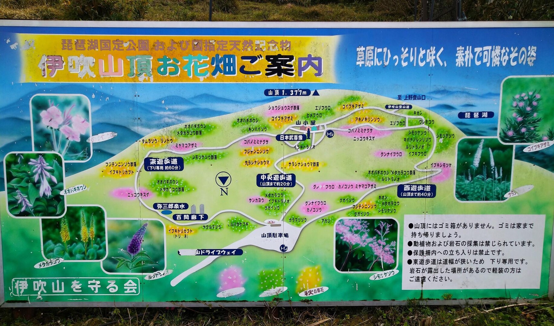 伊吹山 🍁October🍁 / おもちさんの伊吹山・伊吹高原・御座峰の活動データ | YAMAP / ヤマップ