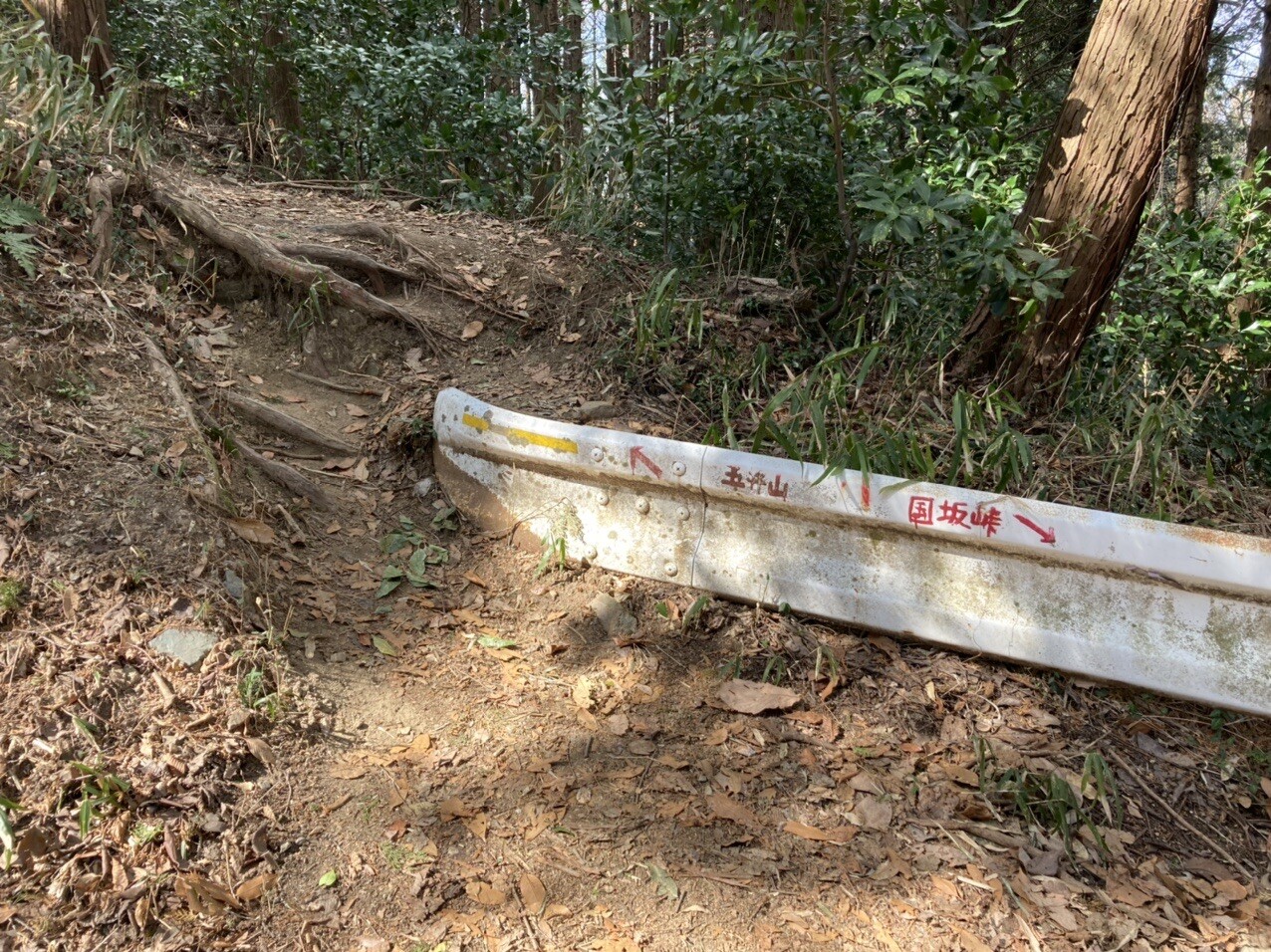 akko-sanさんの投稿したフィールドメモ | YAMAP / ヤマップ