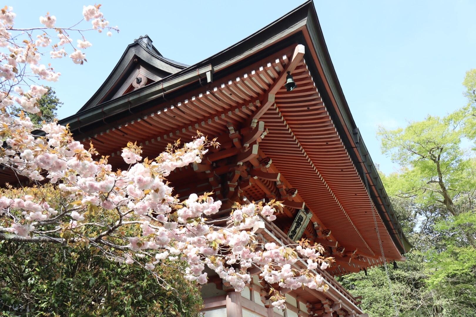 京都トレイル 北山コース / yuki yamaさんの京都一周トレイルの活動データ | YAMAP / ヤマップ