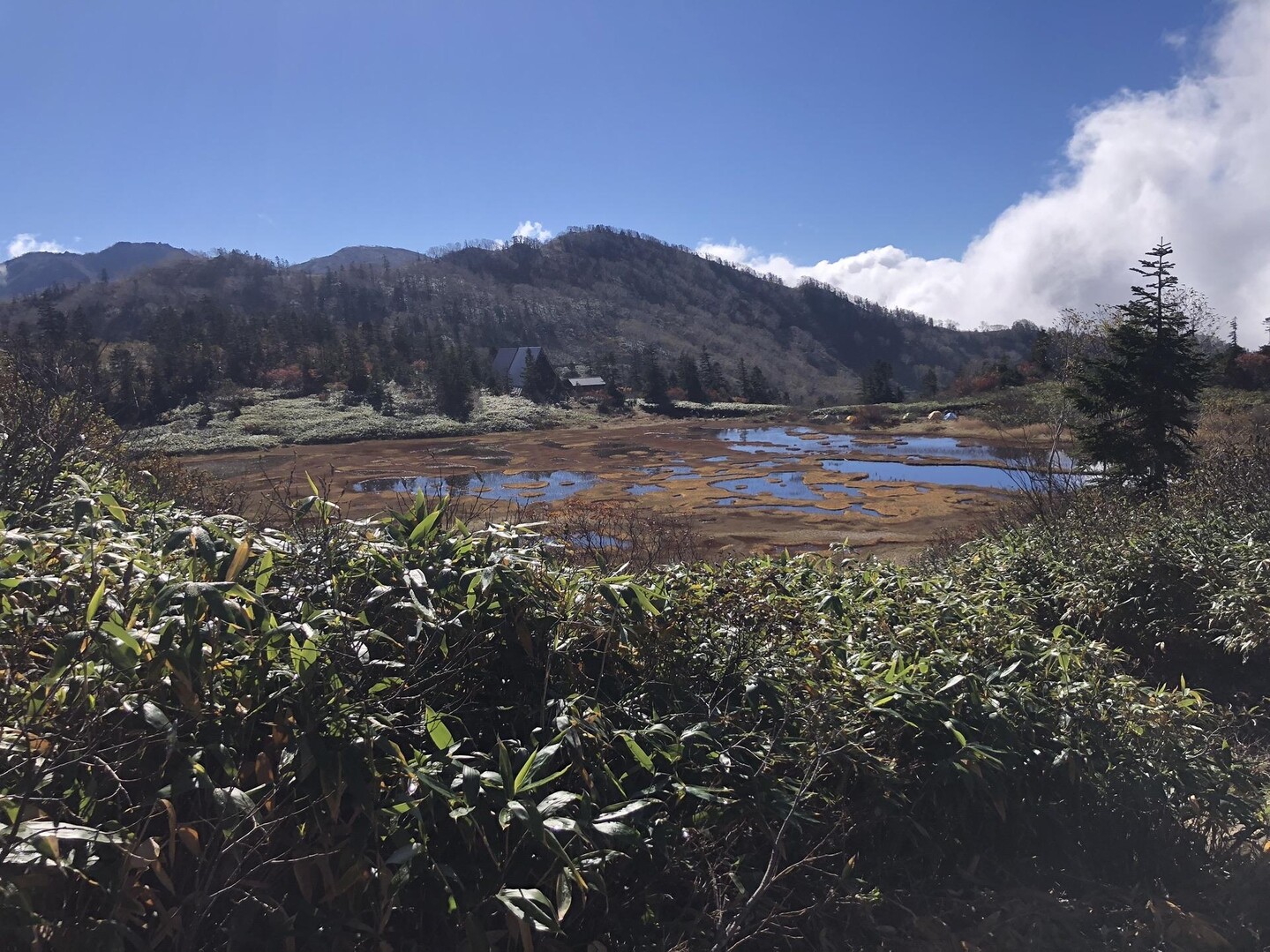 茶臼山・火打山 / Momoさんの妙高山・火打山の活動データ | YAMAP / ヤマップ