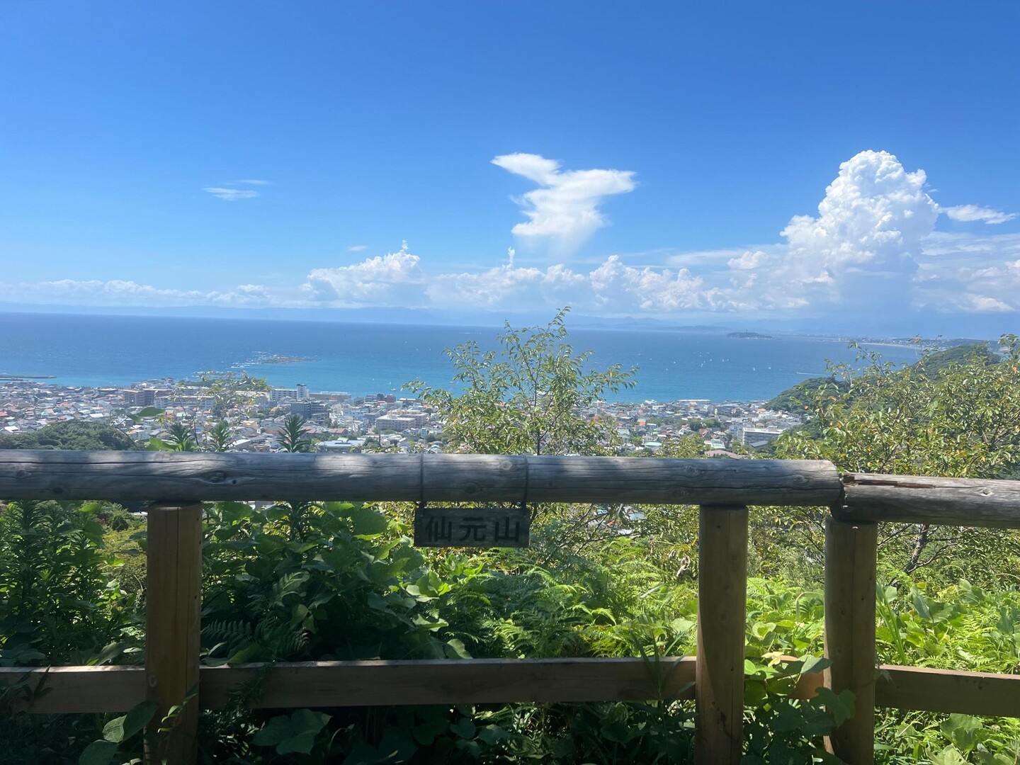 三浦アルプス / Tagmsさんの三浦アルプス・二子山・仙元山の活動データ | YAMAP / ヤマップ