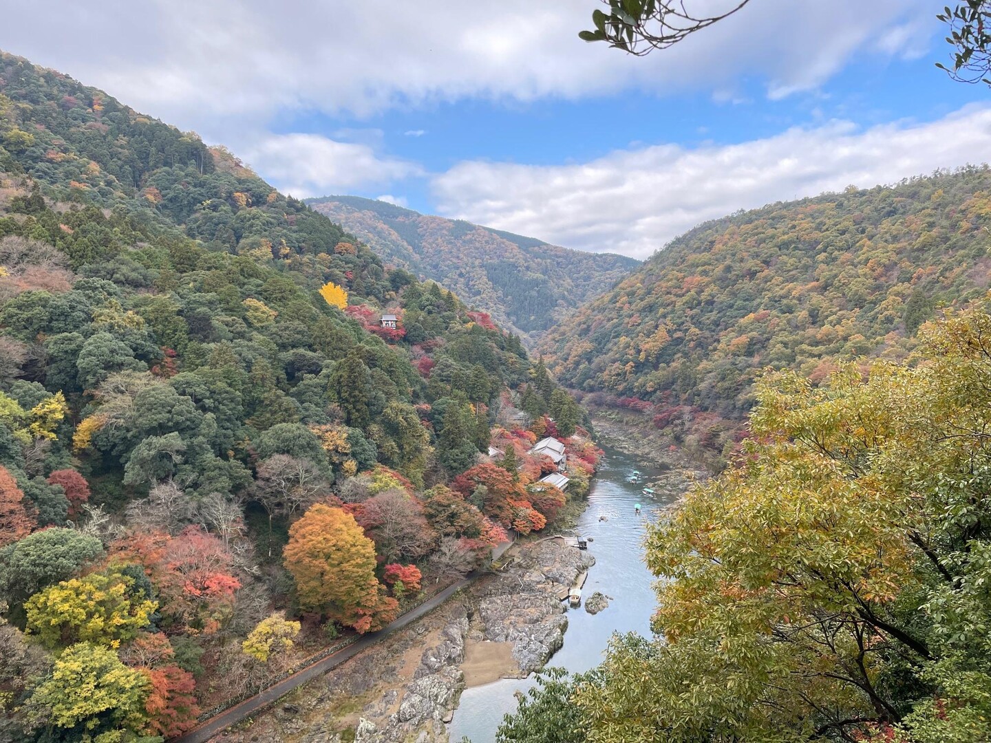 嵐山公園紅葉🍁狩り 2022-11-20 / kazuさんの嵐山公園・近文山・半面山の活動データ | YAMAP / ヤマップ