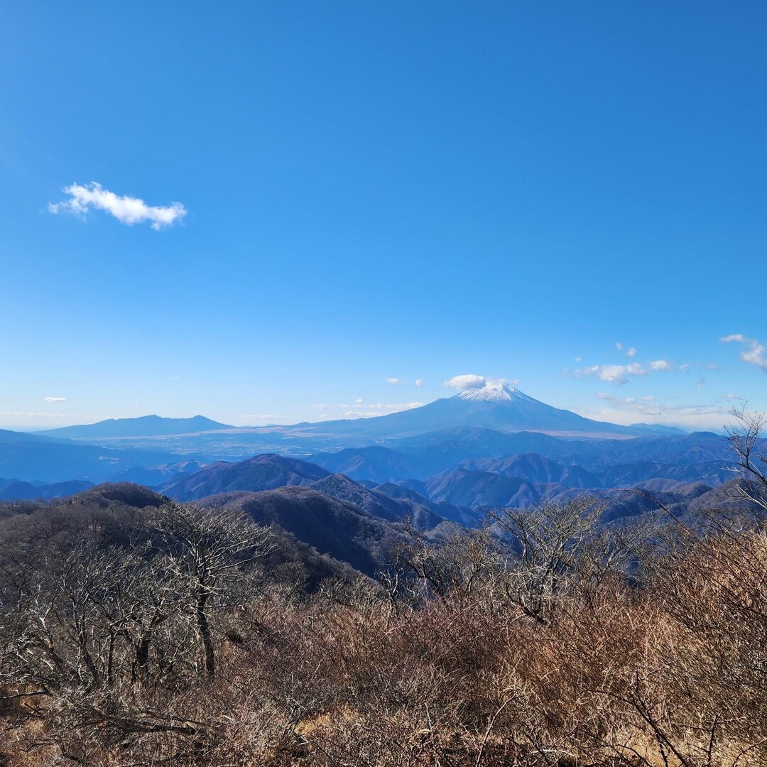 堀山・塔ノ岳 / papiさんの塔ノ岳・丹沢山・蛭ヶ岳の活動データ | YAMAP / ヤマップ