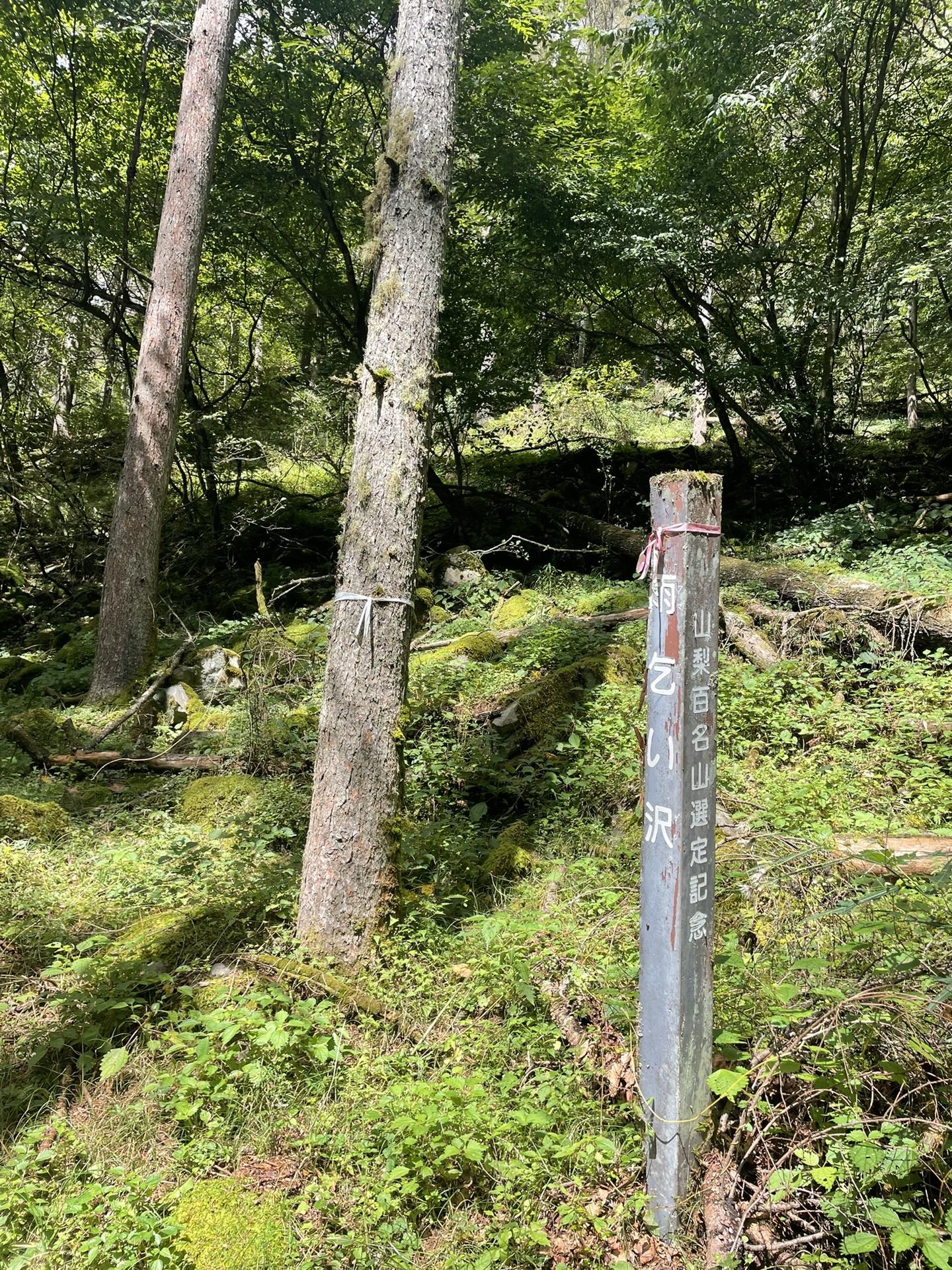 hideshanさんの投稿したフィールドメモ | YAMAP / ヤマップ