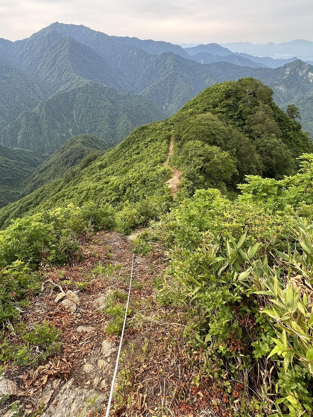 加治川ダムから焼峰山 / Mt.keiさんの蒜場山・焼峰山・俎倉山の活動データ | YAMAP / ヤマップ