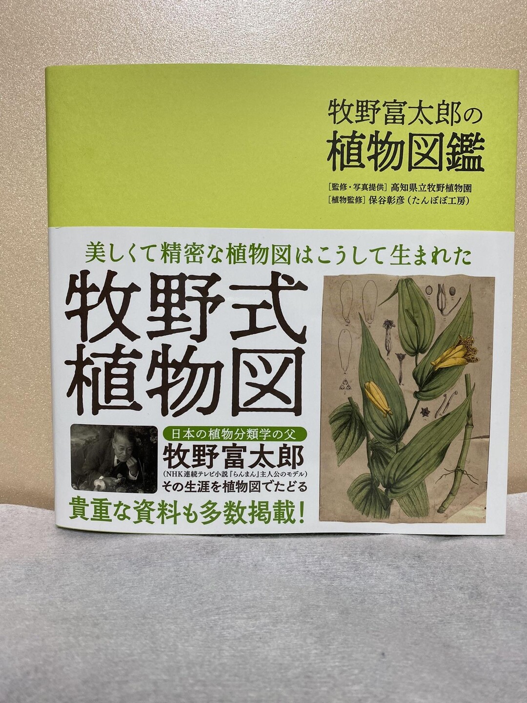 このところ山に登れなくて、チョット塞ぎ虫... / dante99さんのモーメント | YAMAP / ヤマップ