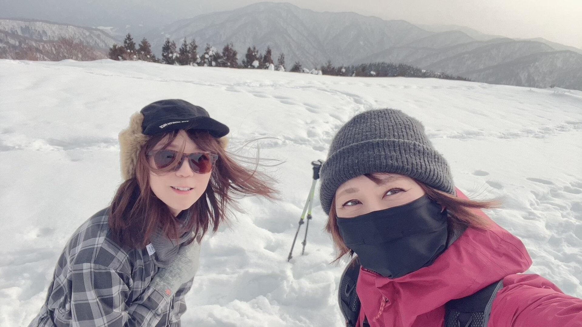 野坂岳 / emikoさんの野坂岳の活動データ | YAMAP / ヤマップ