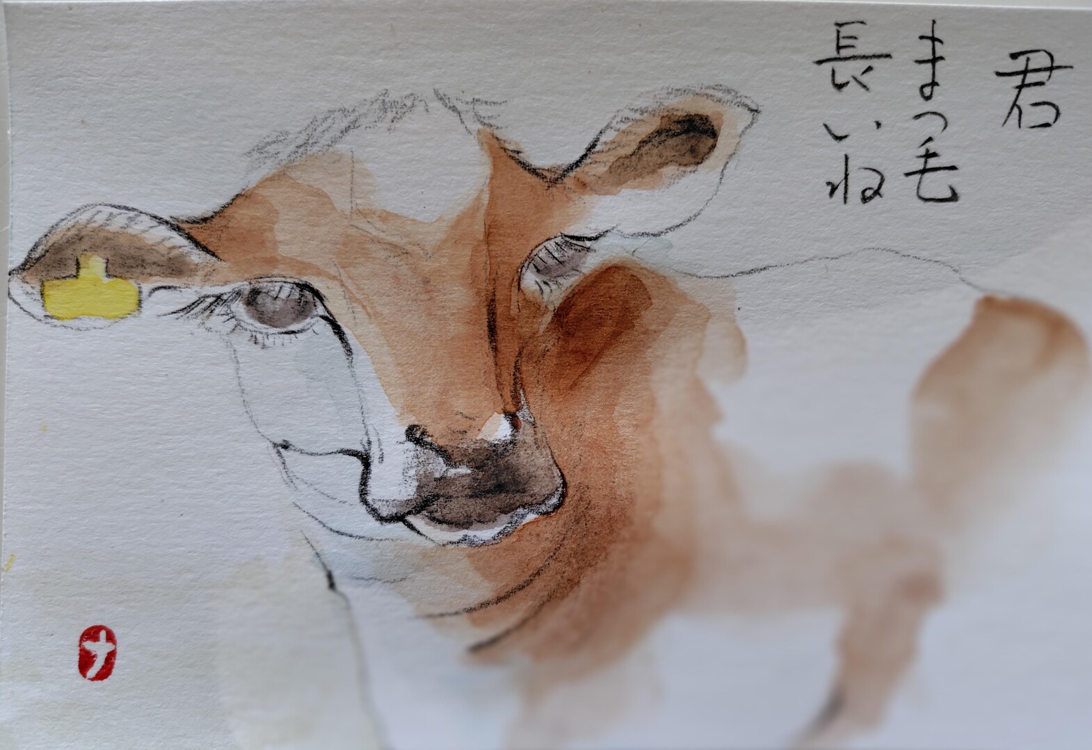 大野山 薫る野牧場の子牛。大雄山駅から29km登り1050m一周 ラン＆バイク / maki816さんの高松山・大野山の活動データ | YAMAP / ヤマップ