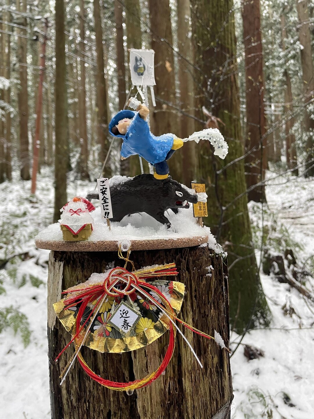 弥彦山2024年登り納め⛩️ / megさんの弥彦山・多宝山・雨乞山の活動データ | YAMAP / ヤマップ