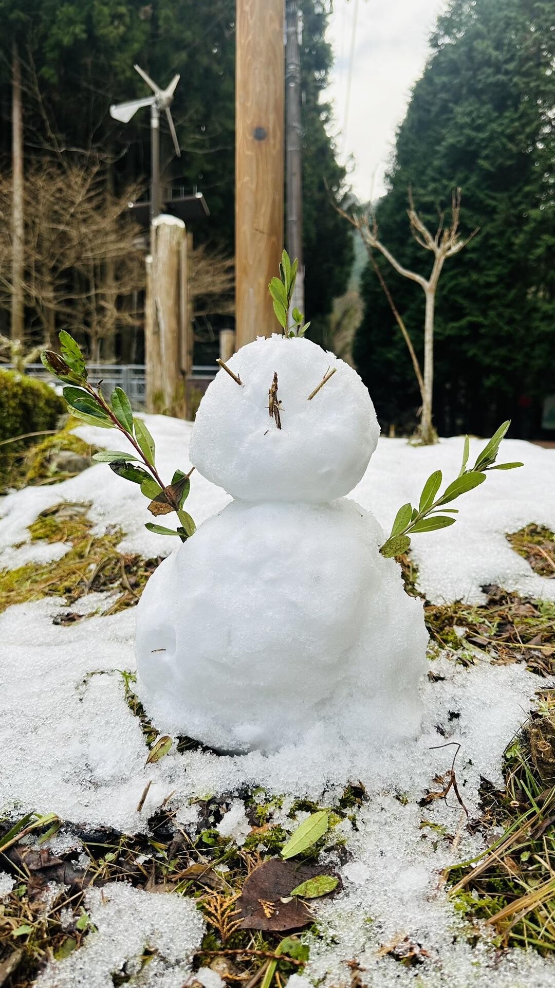 犬ヶ岳・求菩提山-2023-12-26 / Haroldさんの犬ヶ岳・求菩提山の活動データ | YAMAP / ヤマップ