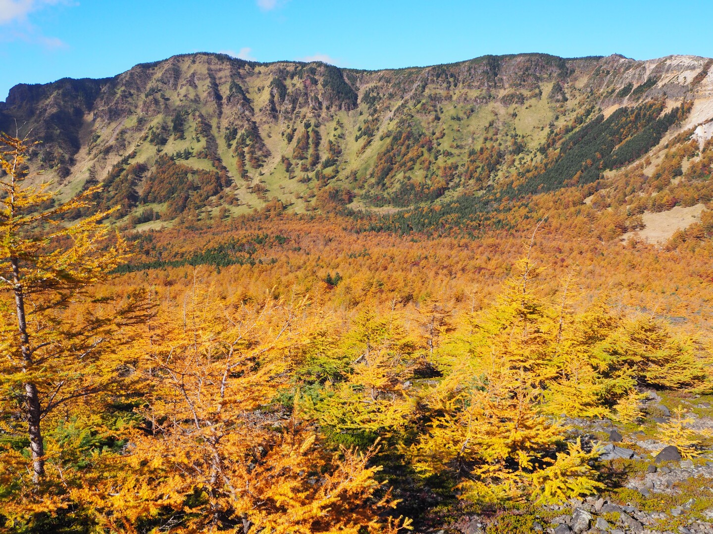 浅間山（前掛山と 黒斑山の間にある）カラ... / ひろ0802さんのモーメント | YAMAP / ヤマップ