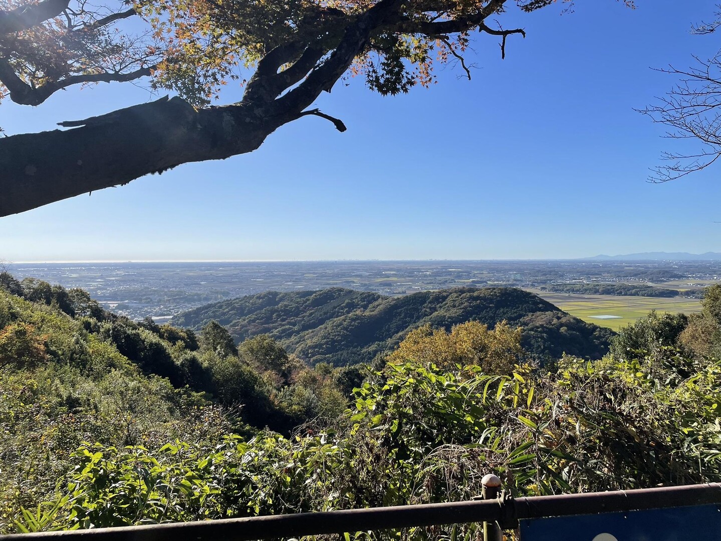 太平山・晃石山・青入山・馬不入山 / sayaさんの太平山・晃石山・唐沢山の活動データ | YAMAP / ヤマップ