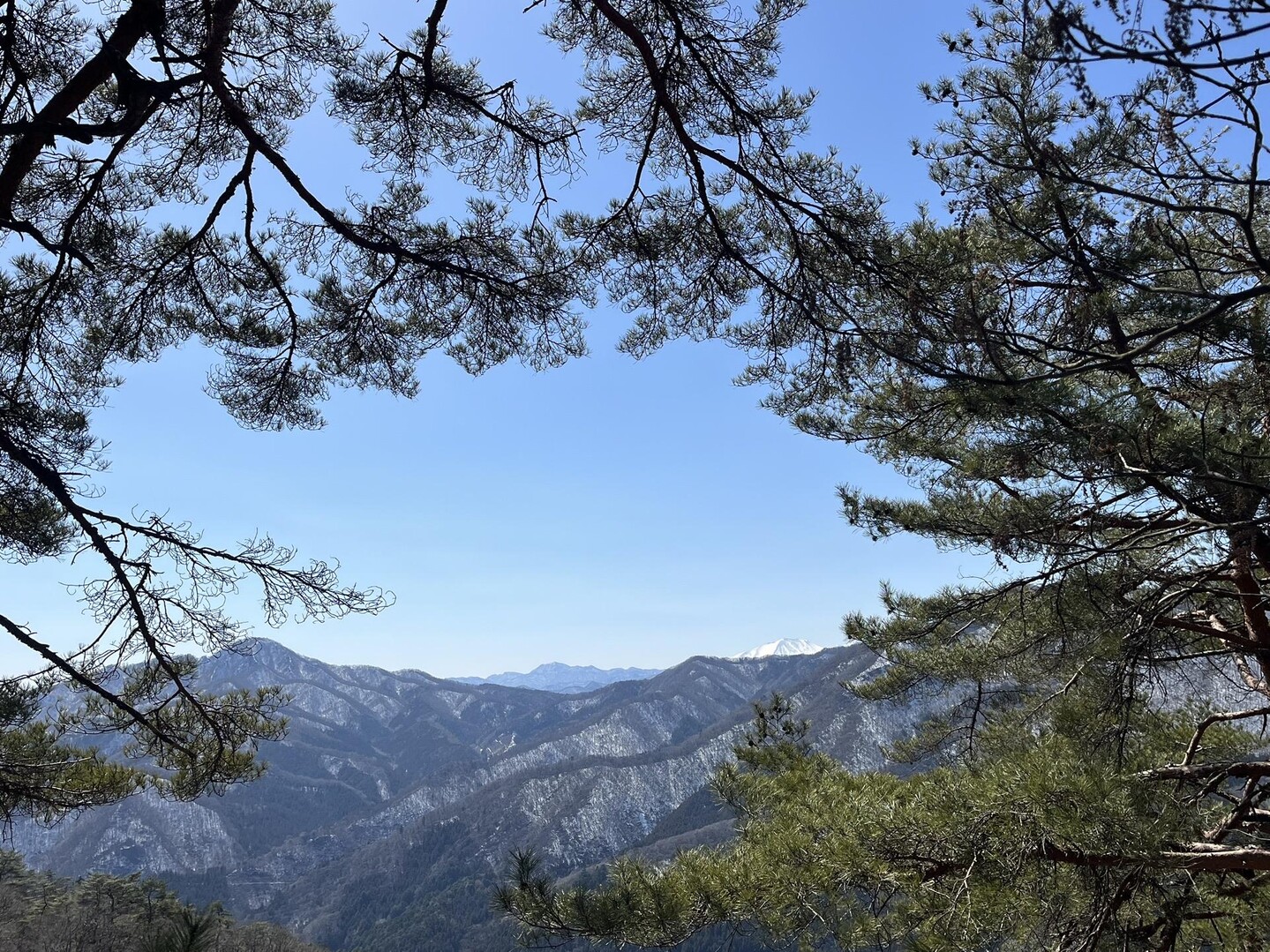水晶山と四万 中之条観光へ🐾 / hachacha-umemeさんの稲包山・赤沢山の活動データ | YAMAP / ヤマップ