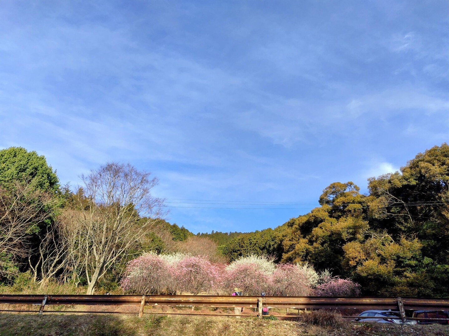 花粉襲来目前に多度山 / Fisher さんの多度山・美濃松山・石津御嶽の活動データ | YAMAP / ヤマップ