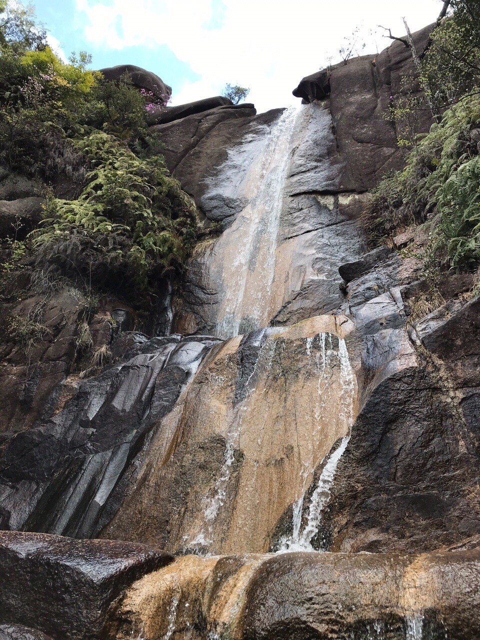 harusan ~さんの投稿したフィールドメモ | YAMAP / ヤマップ