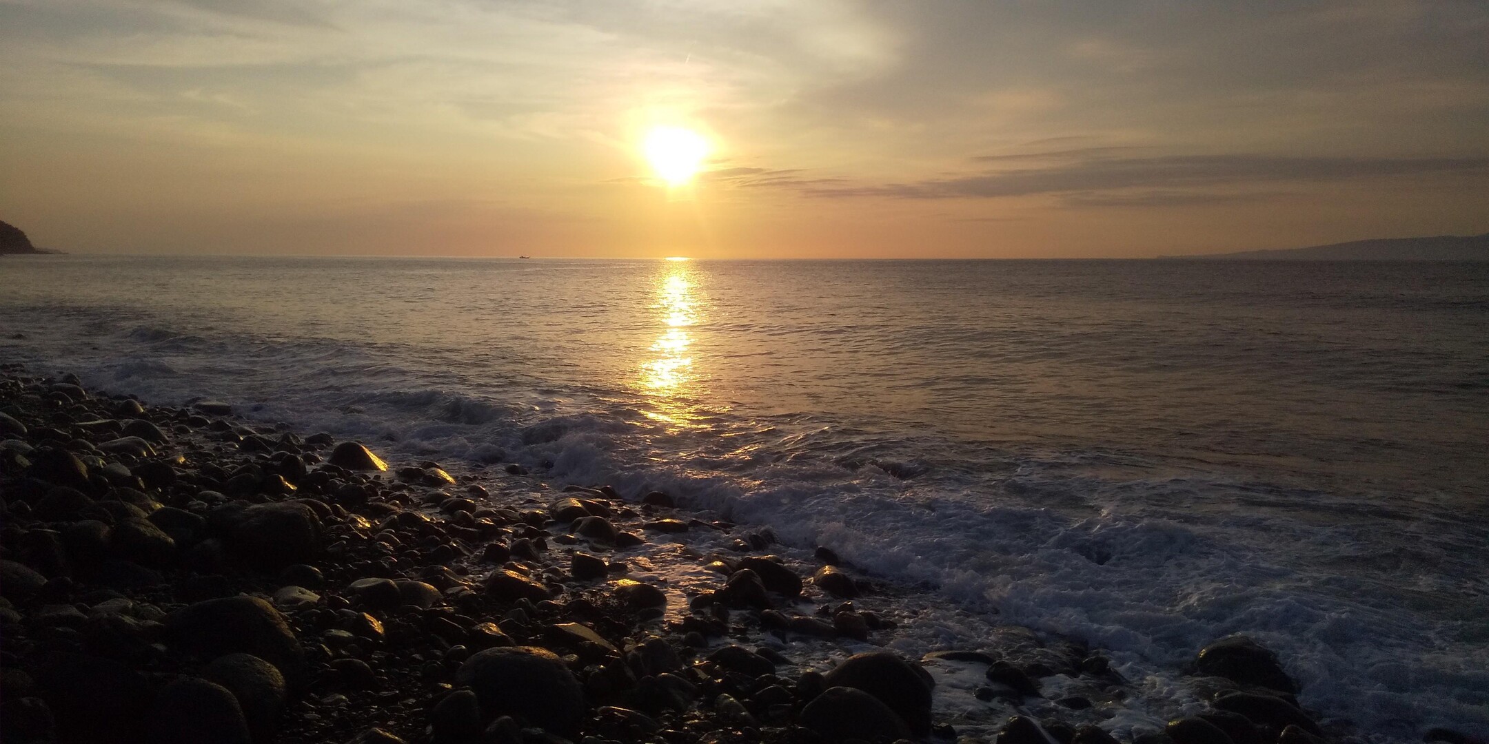 0m天城山トレ（2024/6/6－voy116/100） / なんずのやまさんの天城山・鉢ノ山・三筋山の活動データ | YAMAP / ヤマップ