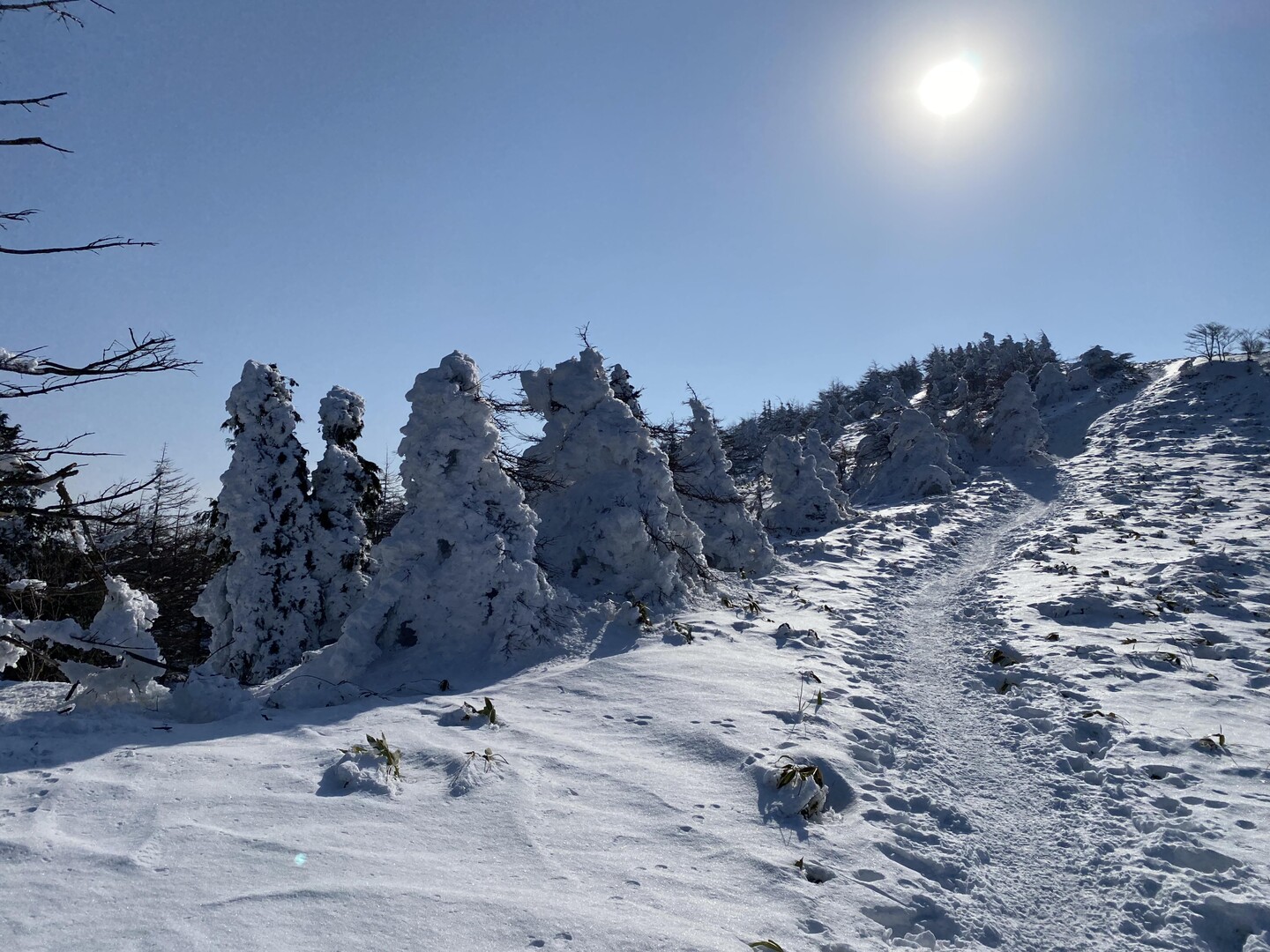 南沢山・横川山（湯舟沢山） / neoさんの恵那山・大判山・神坂山の活動データ | YAMAP / ヤマップ