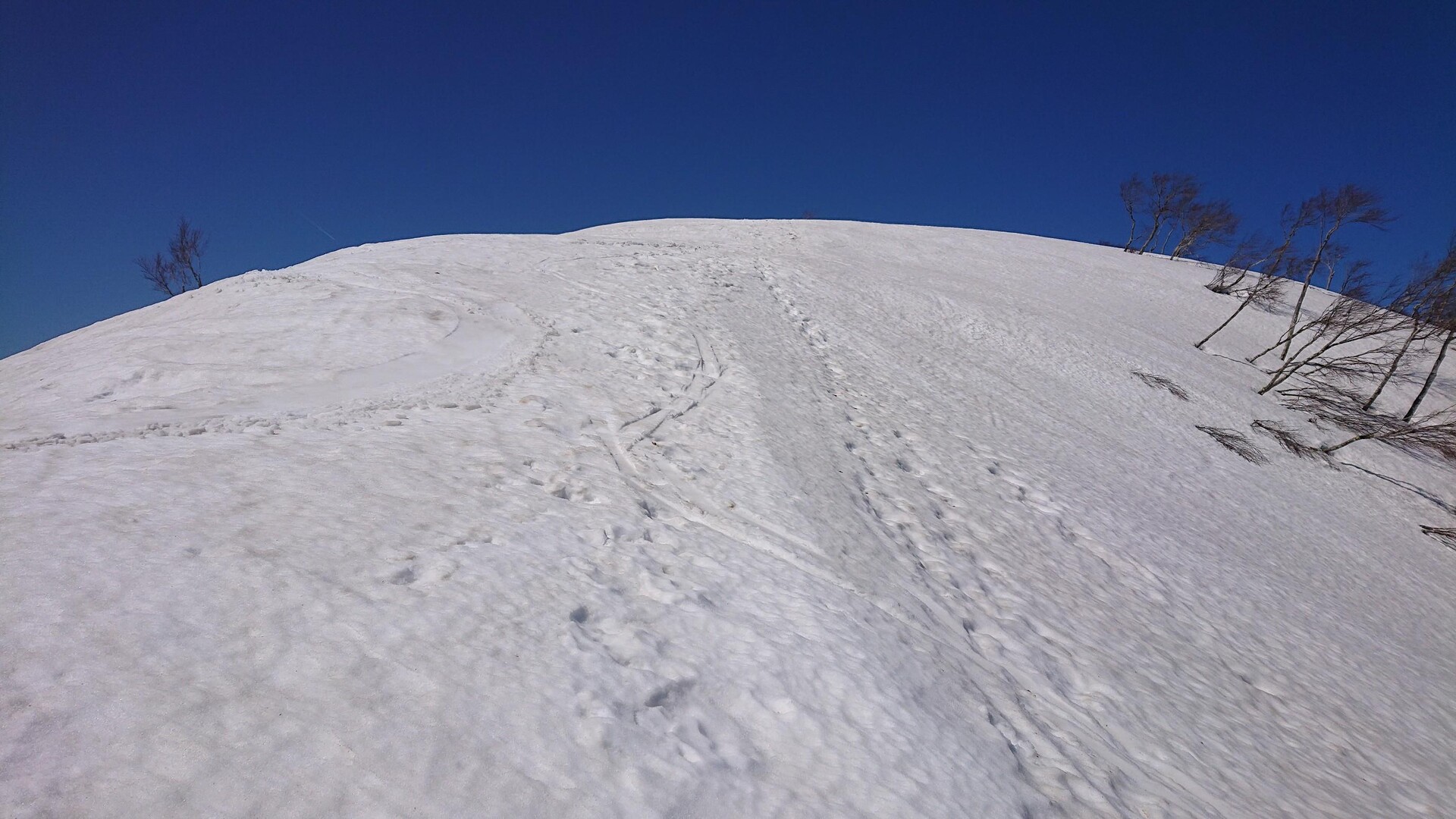 越前大日山（越前甲山） / Housaさんの大日山・越前大日山（越前甲山）・鈴ヶ岳の活動データ | YAMAP / ヤマップ