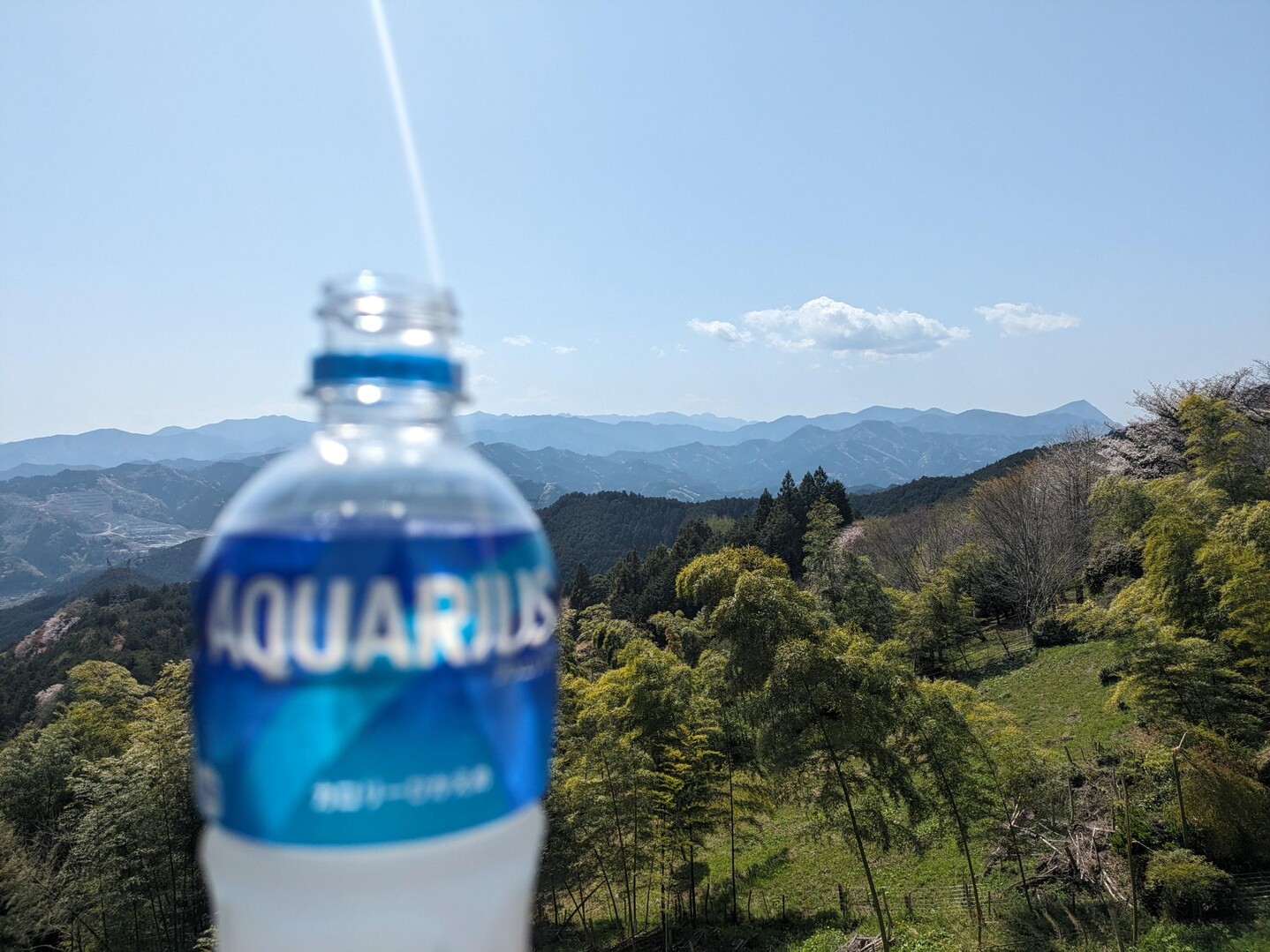 奥武蔵ロングトレイルレース35k後半部分の試走 / AKIちゃん さんの日和田山・物見山の活動データ | YAMAP / ヤマップ