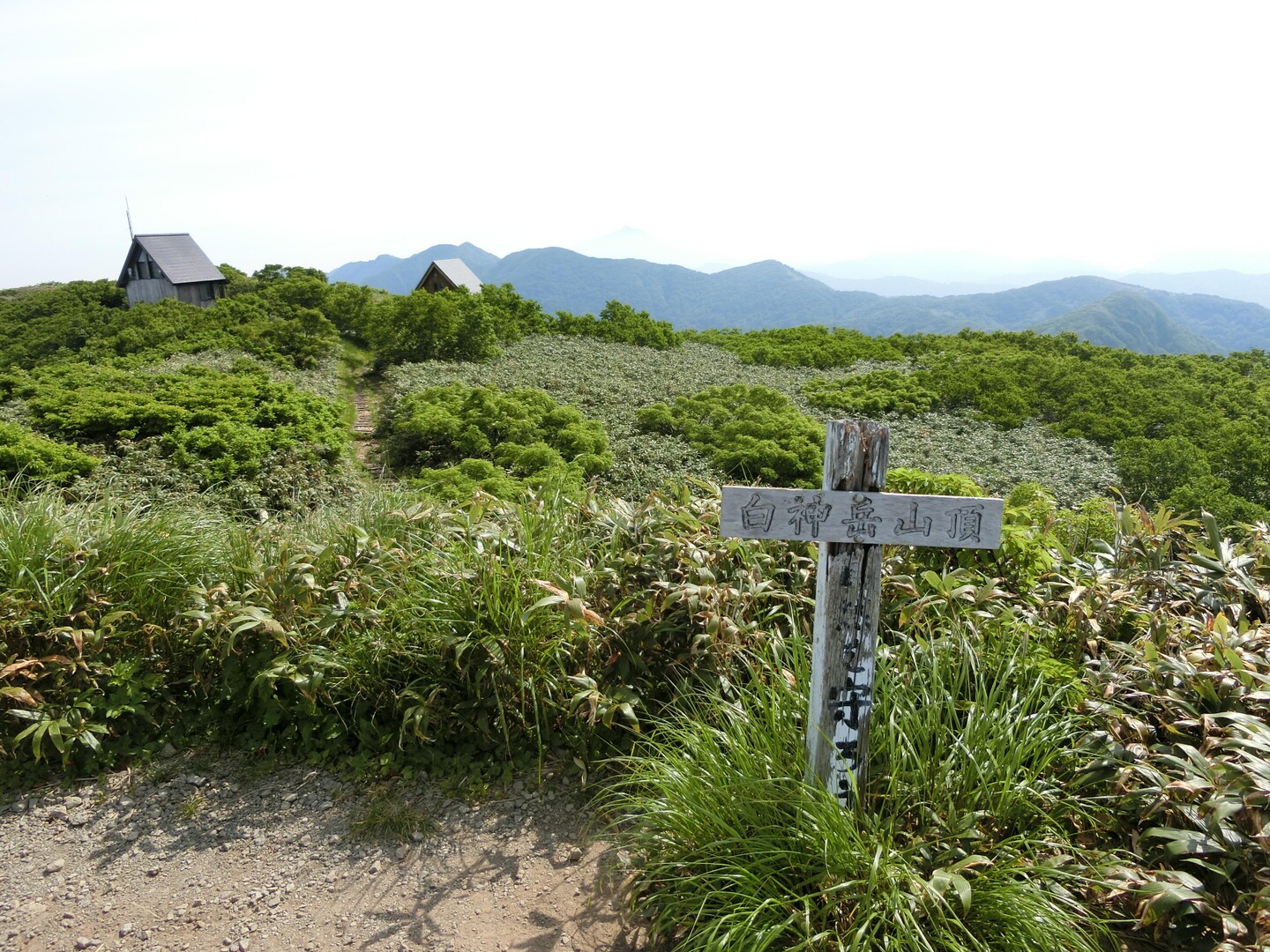 白神岳 蟶山（マテ山）コースで往復 / tadmさんの白神岳・蟶山・大峰岳の活動データ | YAMAP / ヤマップ