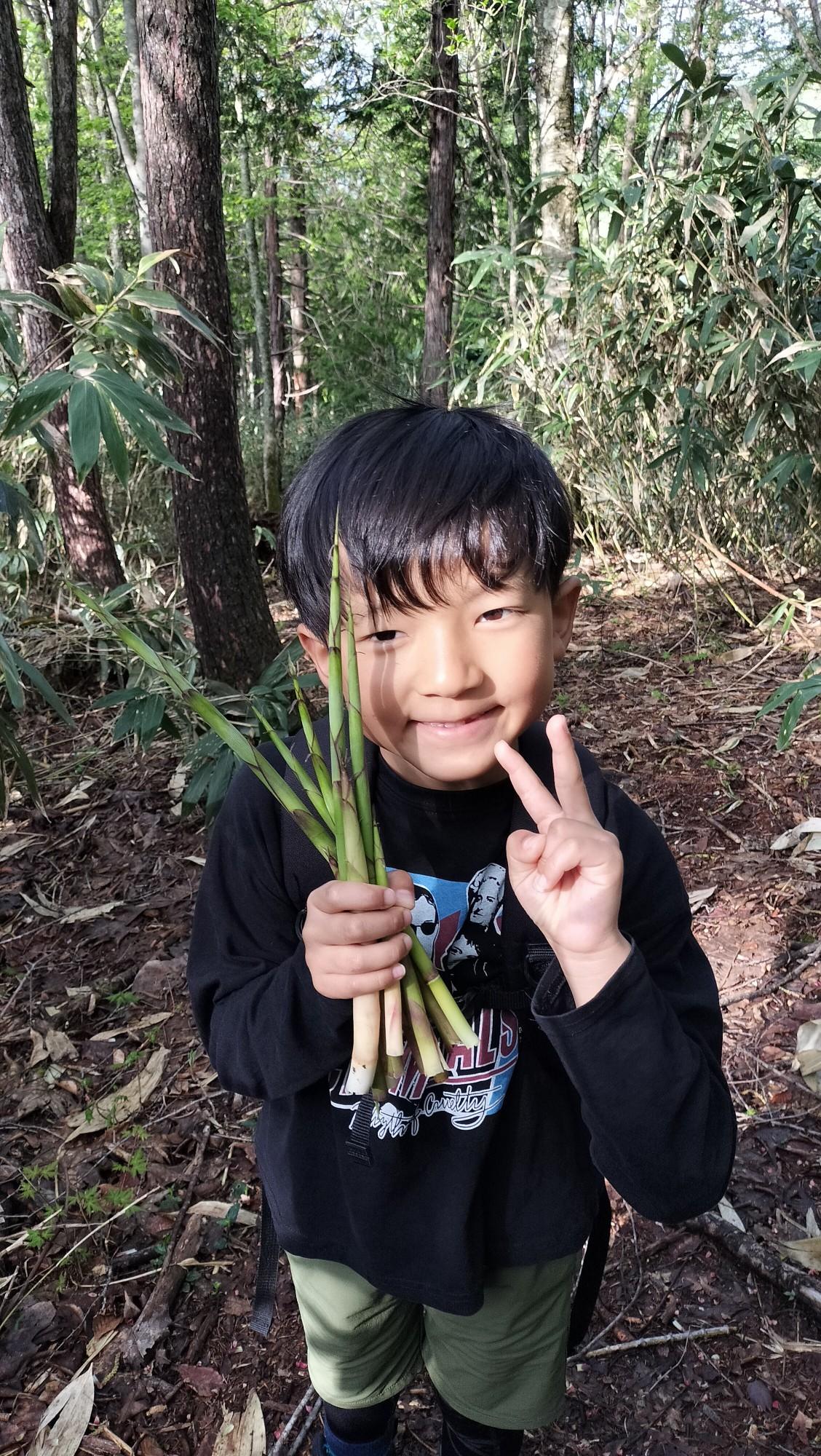 筍採り！猪臥山の引力🐸 / AKIRAさんの猪臥山の活動データ | YAMAP / ヤマップ