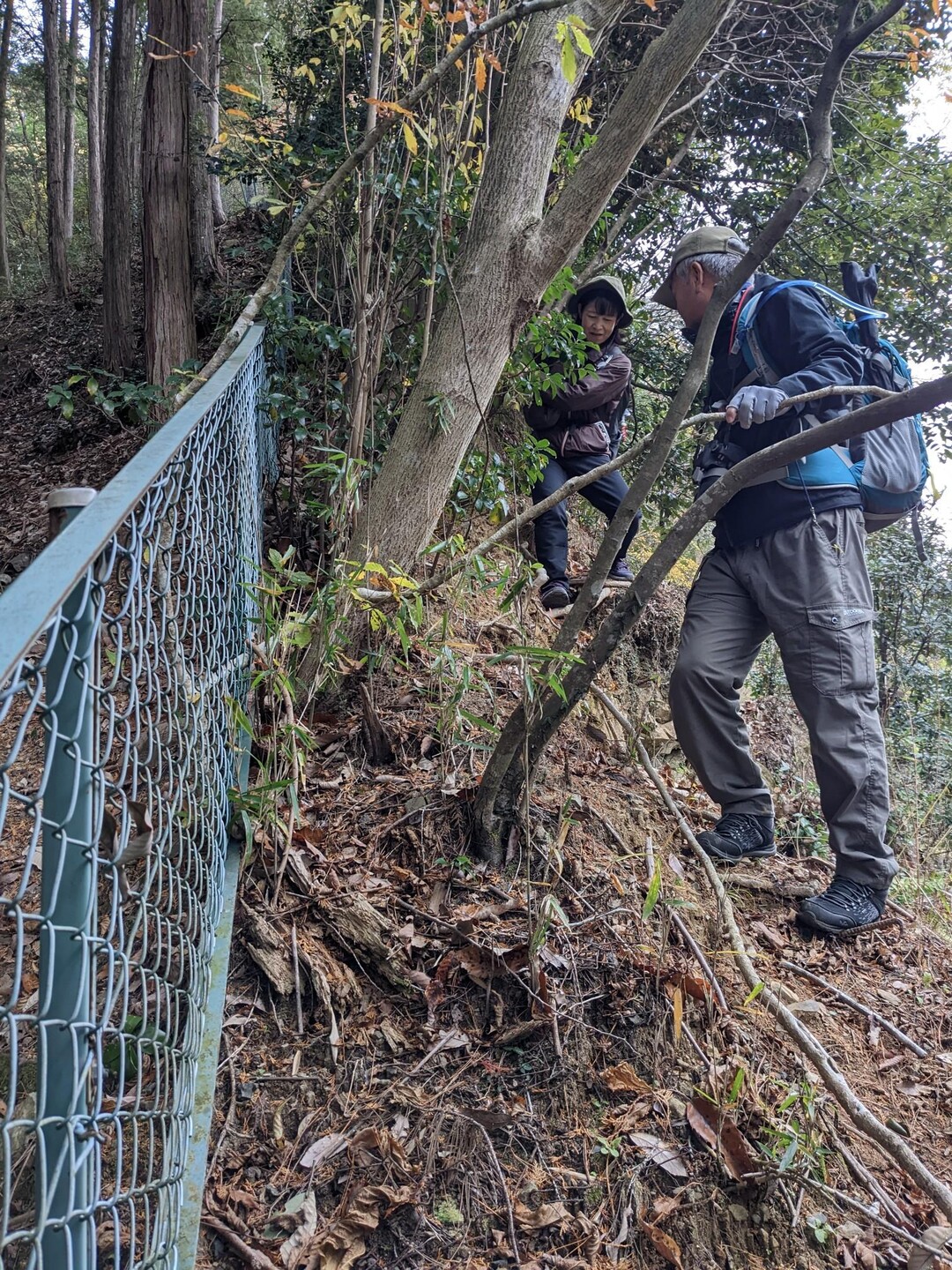 Reiko (ニャッキ🐛)さんの投稿したフィールドメモ | YAMAP / ヤマップ