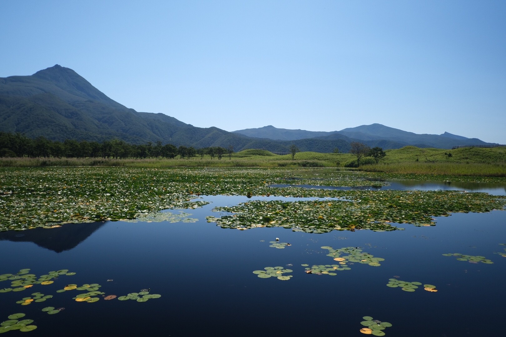 羅臼岳・硫黄山（知床）・羅臼湖-2022-09-11 / ZIMASUKEさんの羅臼岳・硫黄山（知床）・羅臼湖の活動データ | YAMAP / ヤマップ