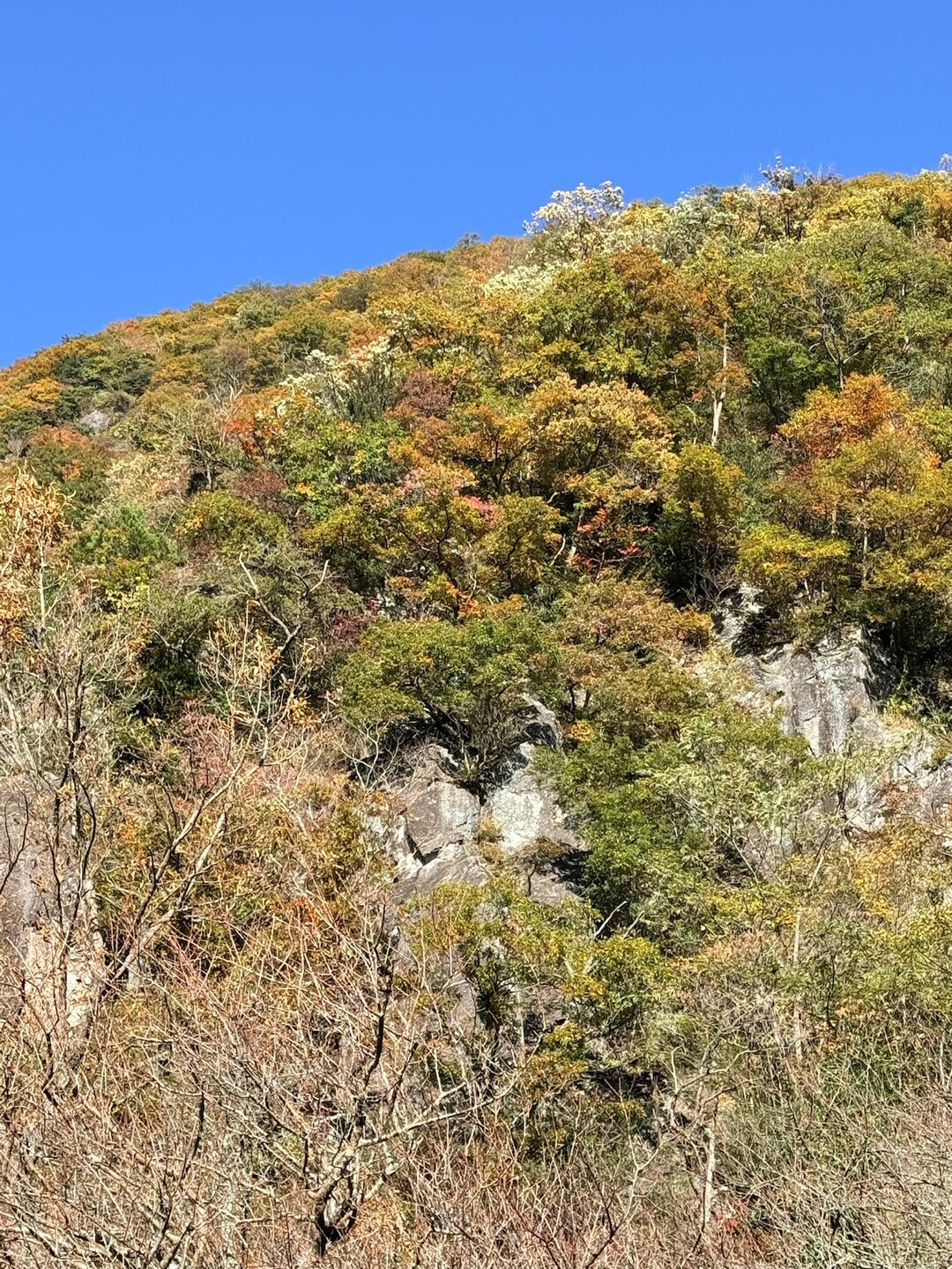 幕山・南郷山 / Stmさんの幕山・南郷山の活動データ | YAMAP / ヤマップ