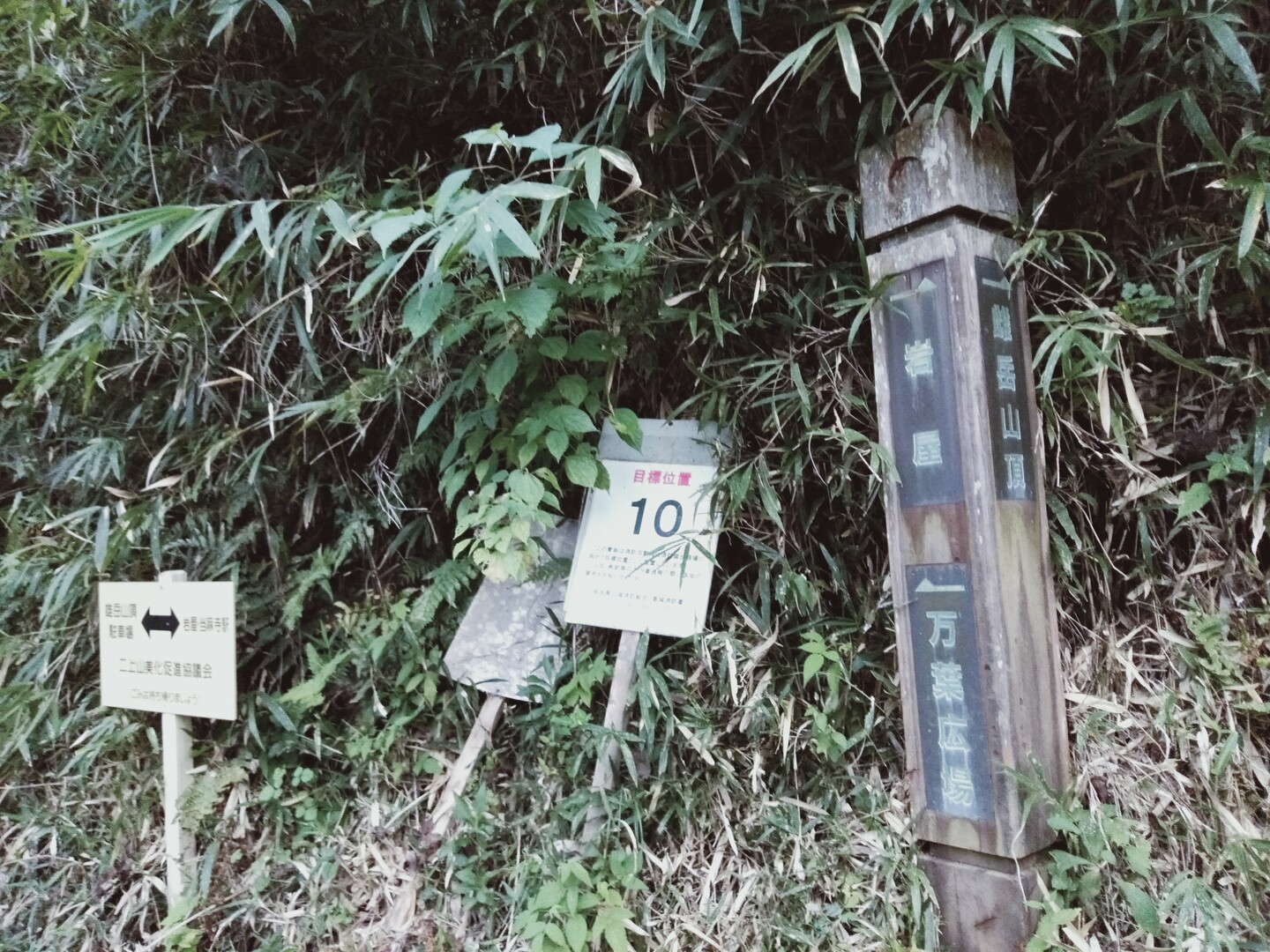 matahari88さんの投稿したフィールドメモ | YAMAP / ヤマップ