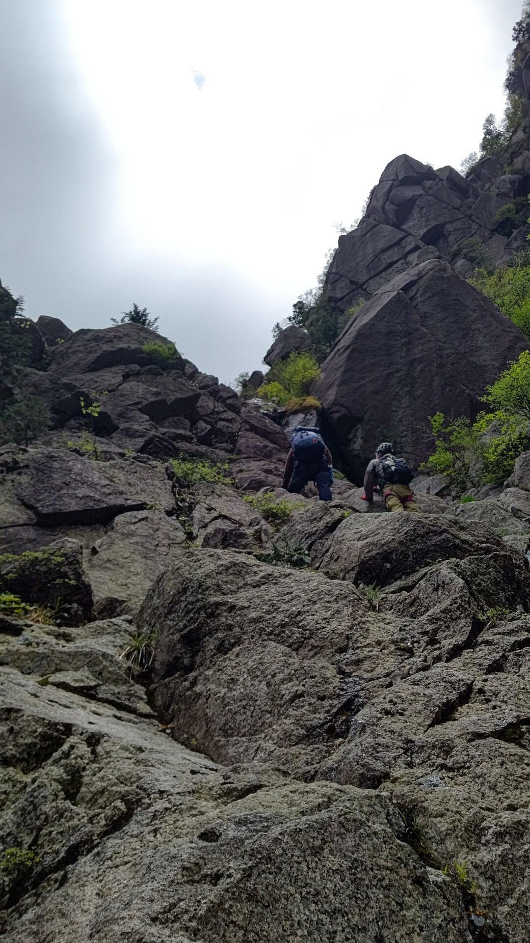 御在所岳（御在所山）で岩場講習会・2024-05-08 / guriko5さんの御在所岳（御在所山）・雨乞岳の活動データ | YAMAP / ヤマップ