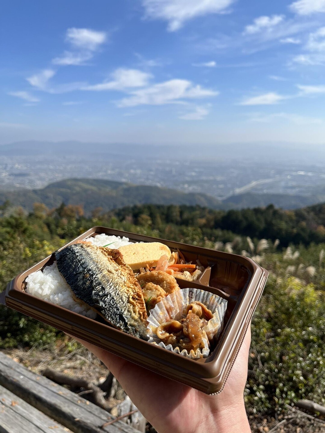 天王山・サントリー山・小倉山・大沢山・釈迦岳・ポンポン山 / うずさんのポンポン山・釈迦岳・小塩山・若山の活動データ | YAMAP / ヤマップ