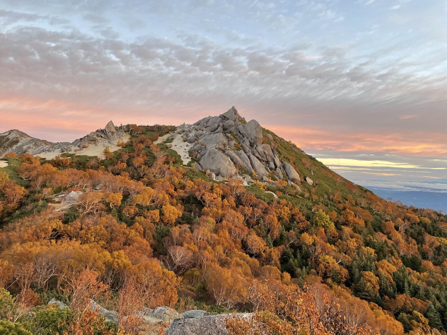 鳳凰三山〜夜叉神峠からどんどこ沢（薬師岳・観音岳・地蔵岳） / Alexさんの鳳凰山・地蔵岳・観音岳・薬師岳の活動データ | YAMAP / ヤマップ