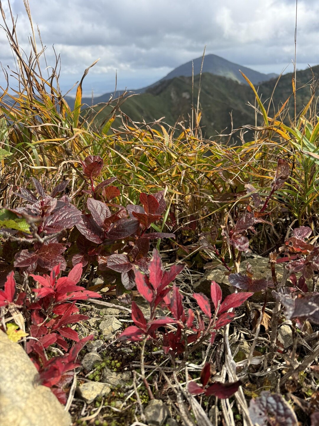 秋の神居尻山 / pu_chanさんの神居尻山・ピンネシリの活動データ | YAMAP / ヤマップ