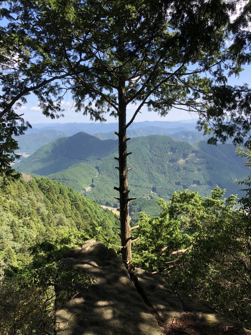 2020.10.23(金) 22:49 / こにーさんのモーメント | YAMAP / ヤマップ