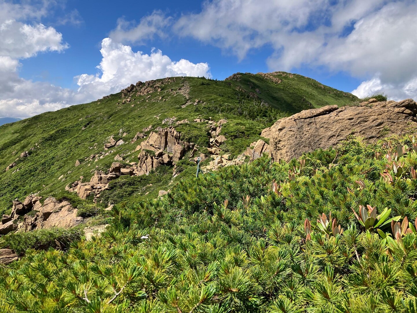 至仏山・小至仏山 / CPさんの尾瀬・至仏山・悪沢岳・笠ヶ岳の活動データ | YAMAP / ヤマップ