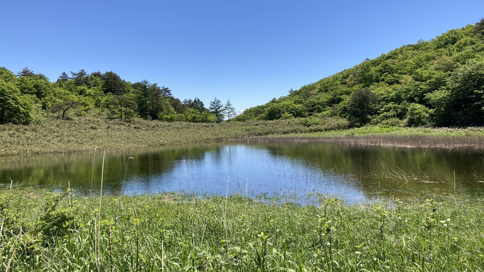 泉ヶ岳岡沼(リフト利用) / HKさんのウォーキングの活動データ | YAMAP / ヤマップ