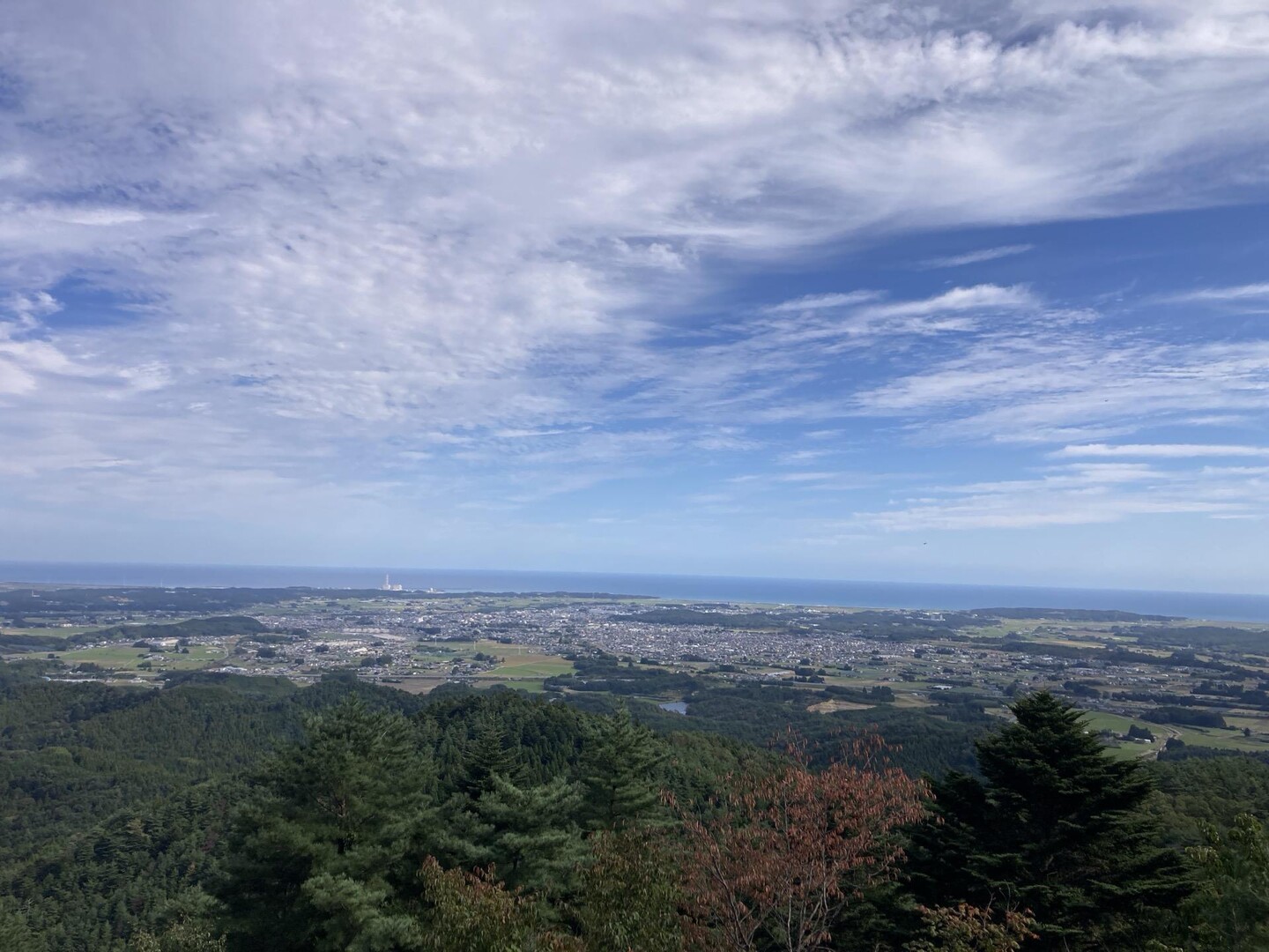 ☀️国見山〜下りが鬼ペース〜 / Molkky-Gさんの国見山の活動日記 | YAMAP / ヤマップ