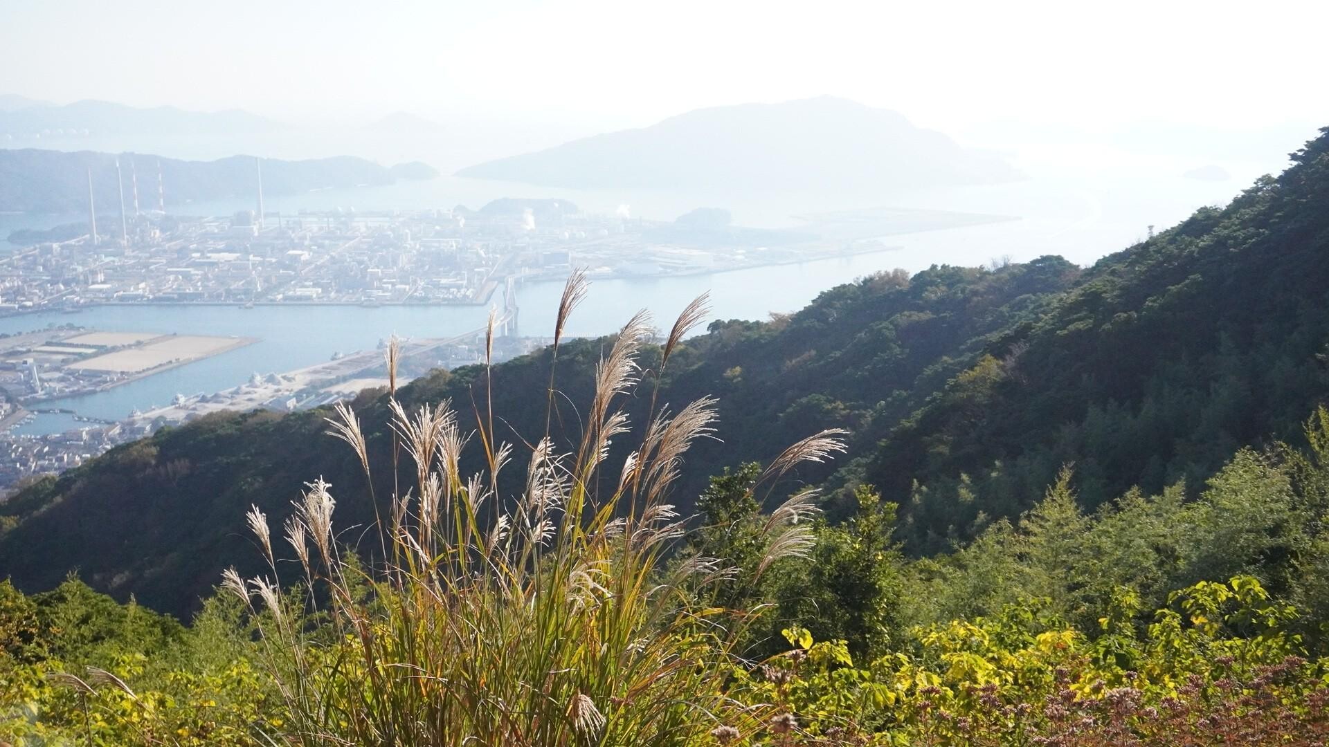 嶽山 100回💯🎉 R5−56 / Zatoさんの嶽山・若山・四熊ヶ岳の活動データ | YAMAP / ヤマップ