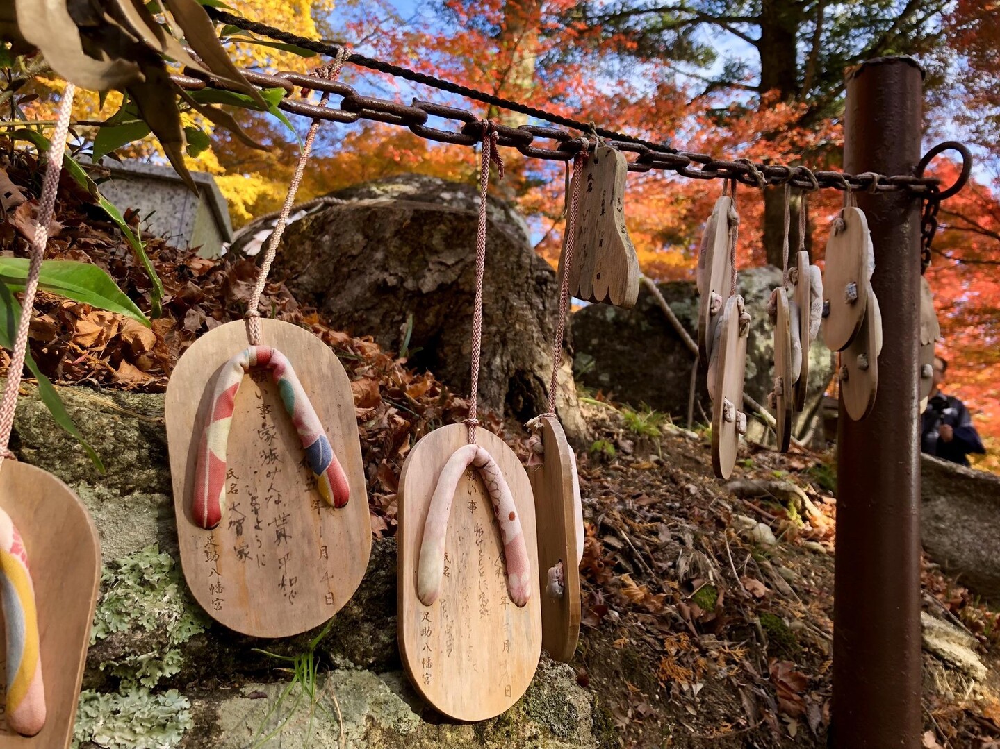飯盛山🍁香嵐渓 / Nandoさんの黍生・飯盛山・真弓山の活動データ | YAMAP / ヤマップ
