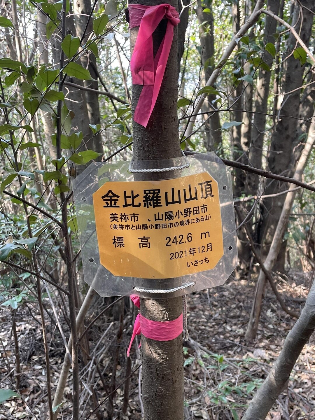 金比羅山 / JBT会員番号5さんの山陽小野田市の活動データ | YAMAP / ヤマップ