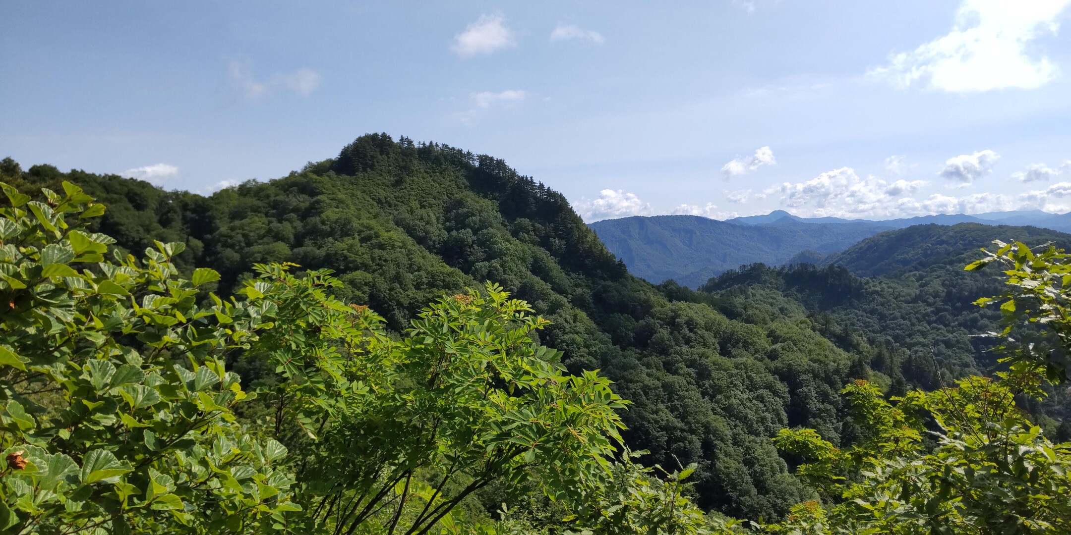 金石が鳥屋山969.6mう百49座目 2024,6,11① / 山スキーsanさんの蒲生岳の活動データ | YAMAP / ヤマップ